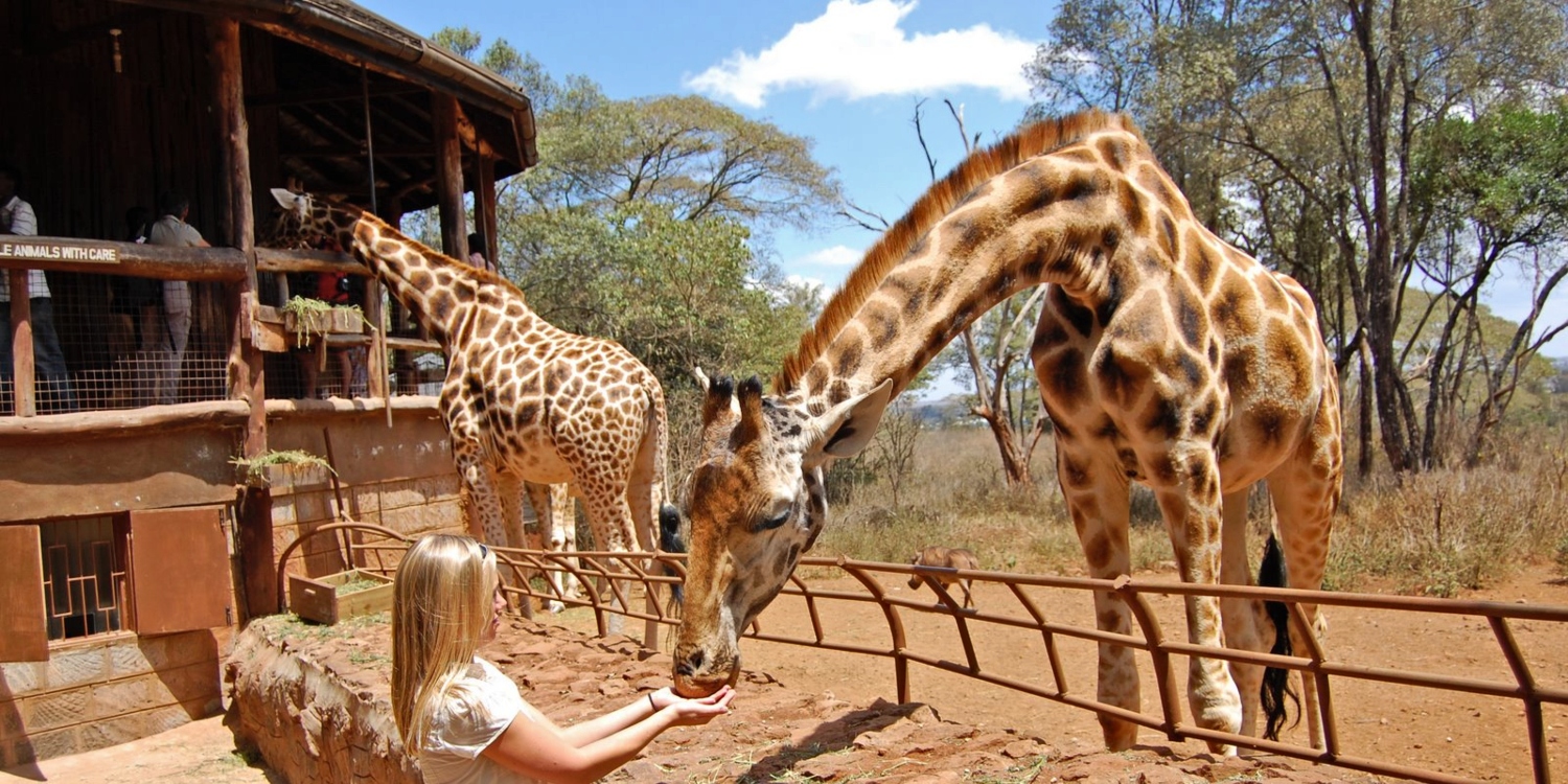 Activities in Nairobi: Best Things to Do, Places to Visit & Top ...